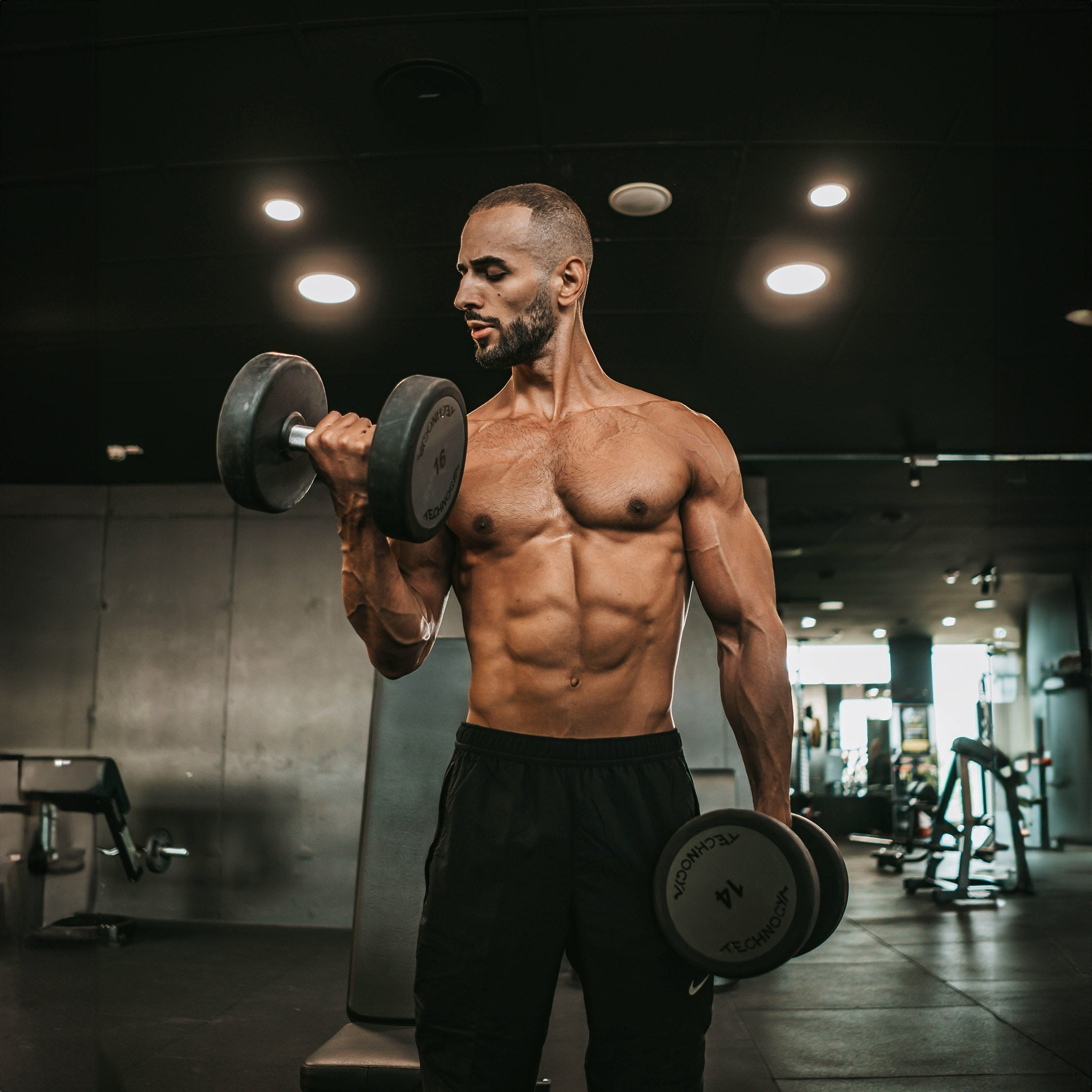 THE ONLY 3 THINGS YOU NEED TO MAKE GAINS – Verse Fitness